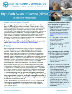 Commission Factsheets - Marine Mammal Commission