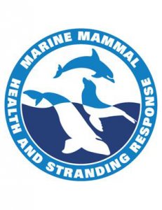 Marine Mammal Health Monitoring and Analysis Platform (M.A.P.) - Marine ...