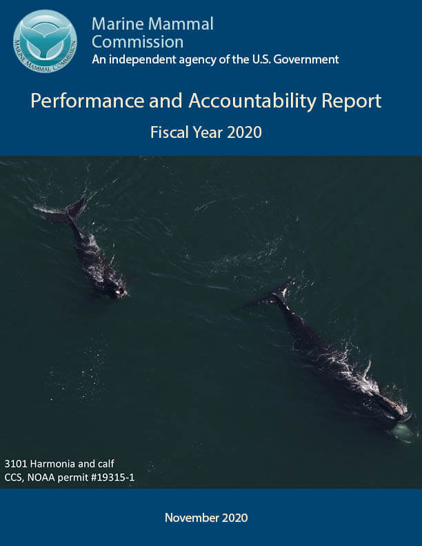 Performance and Accountability Reports and Financial Audits - Marine ...